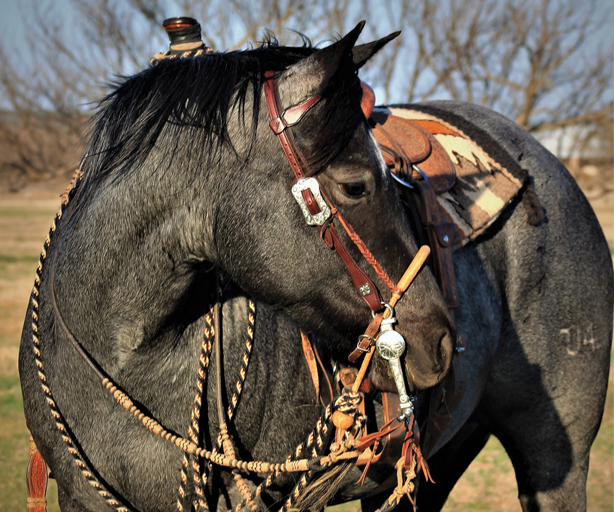 Baru Forell Excels as Silversmith - Western Life Today