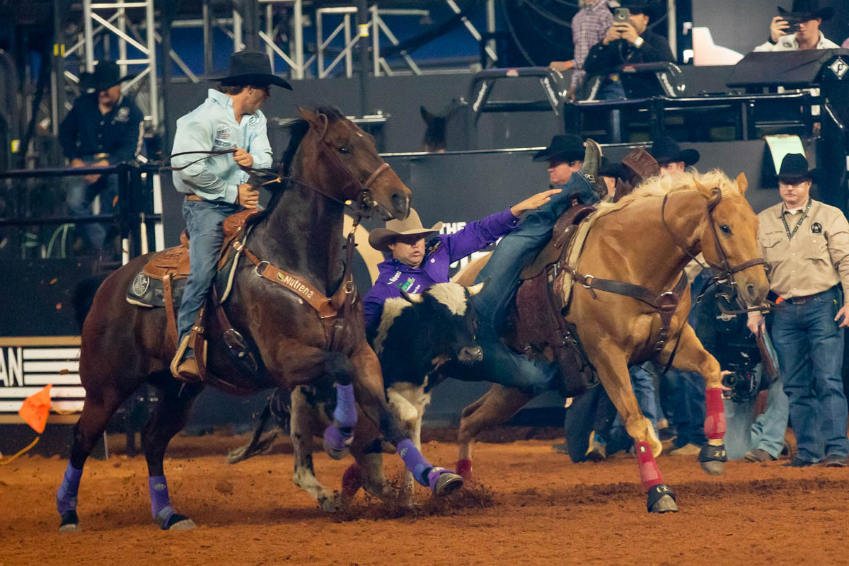 The American Rodeo Recap - Western Life Today