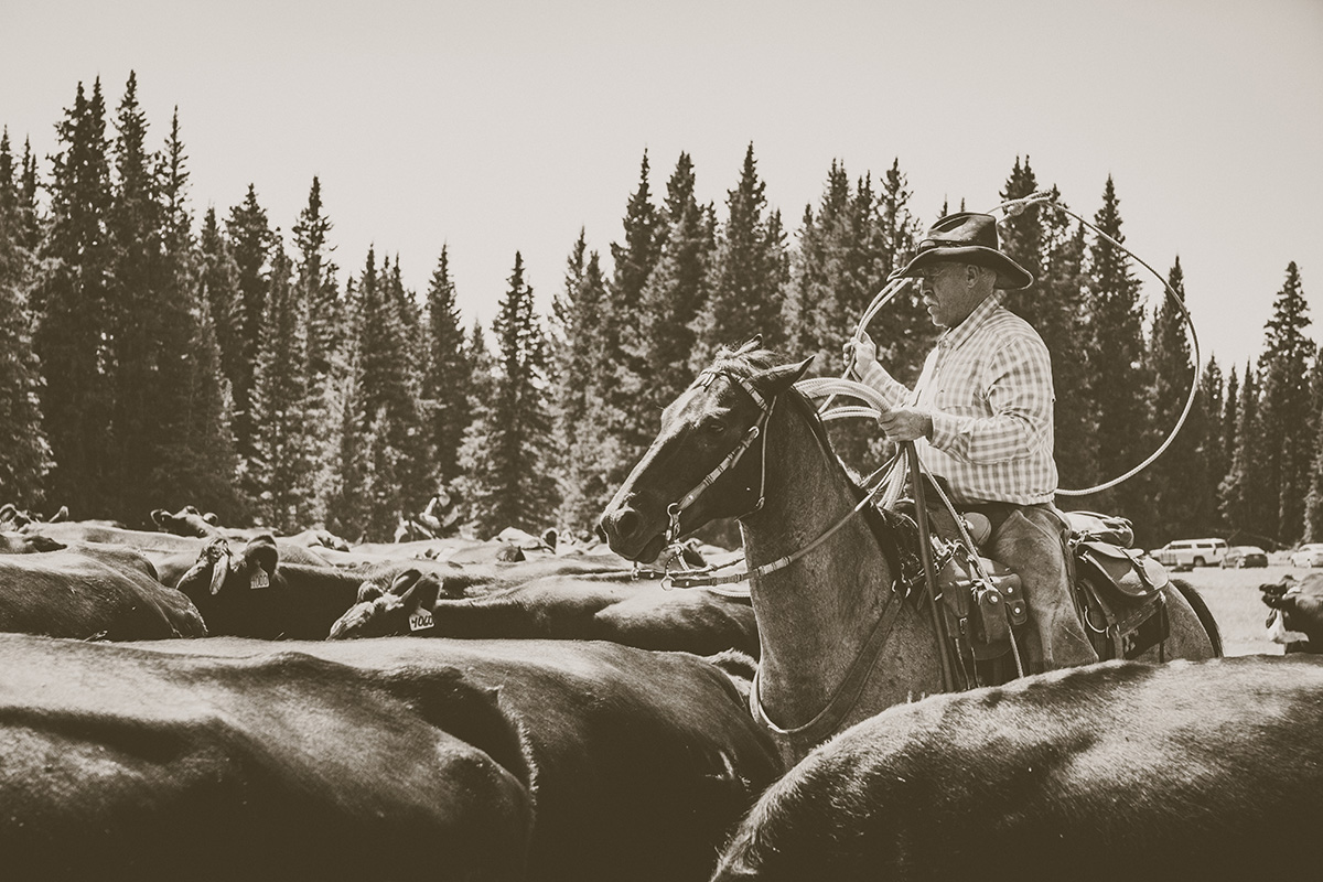 Ranching: It's All in the Family - Western Life Today