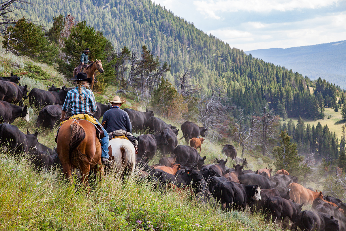 Ranching: It's All in the Family - Western Life Today