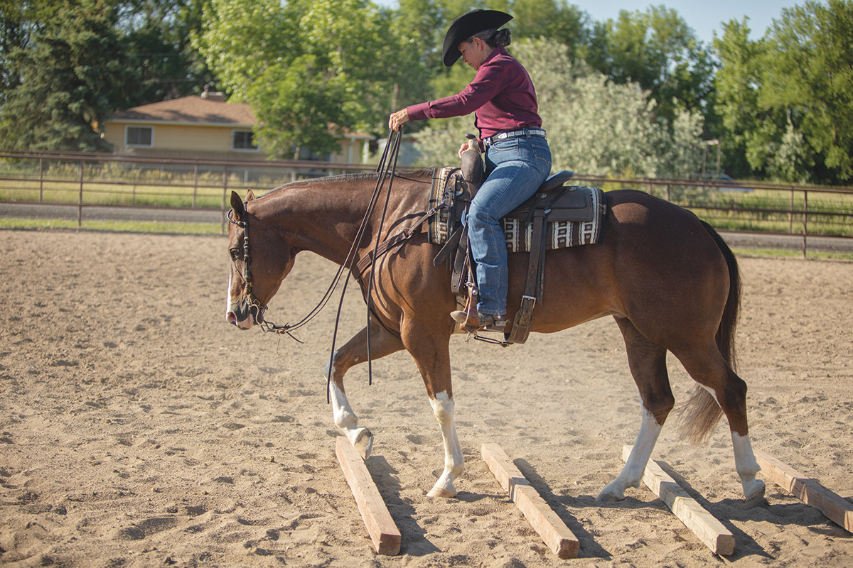 Ranch Riding Lowdown - Western Life Today