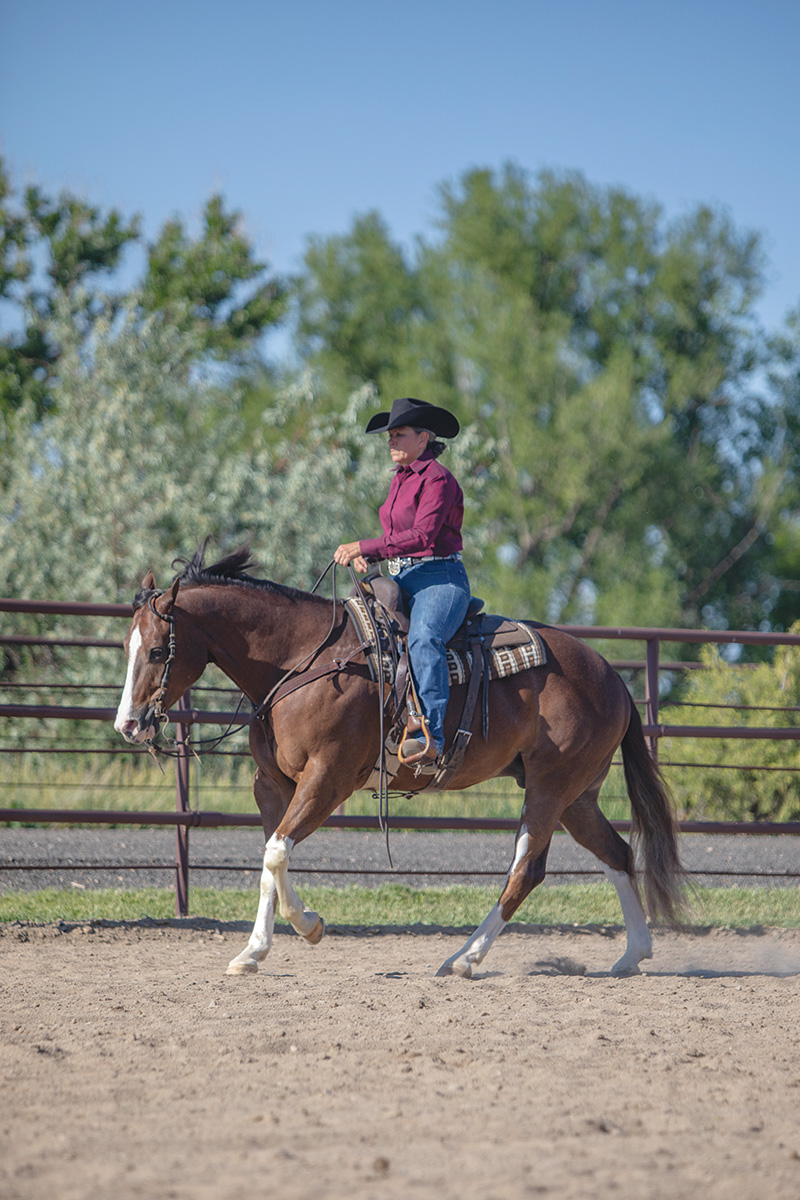 Ranch Riding Lowdown - Western Life Today