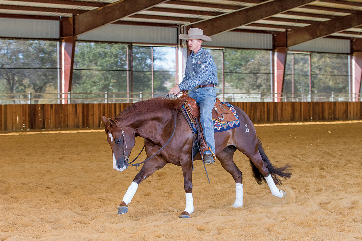 Master the Reining Rollback - Western Life Today