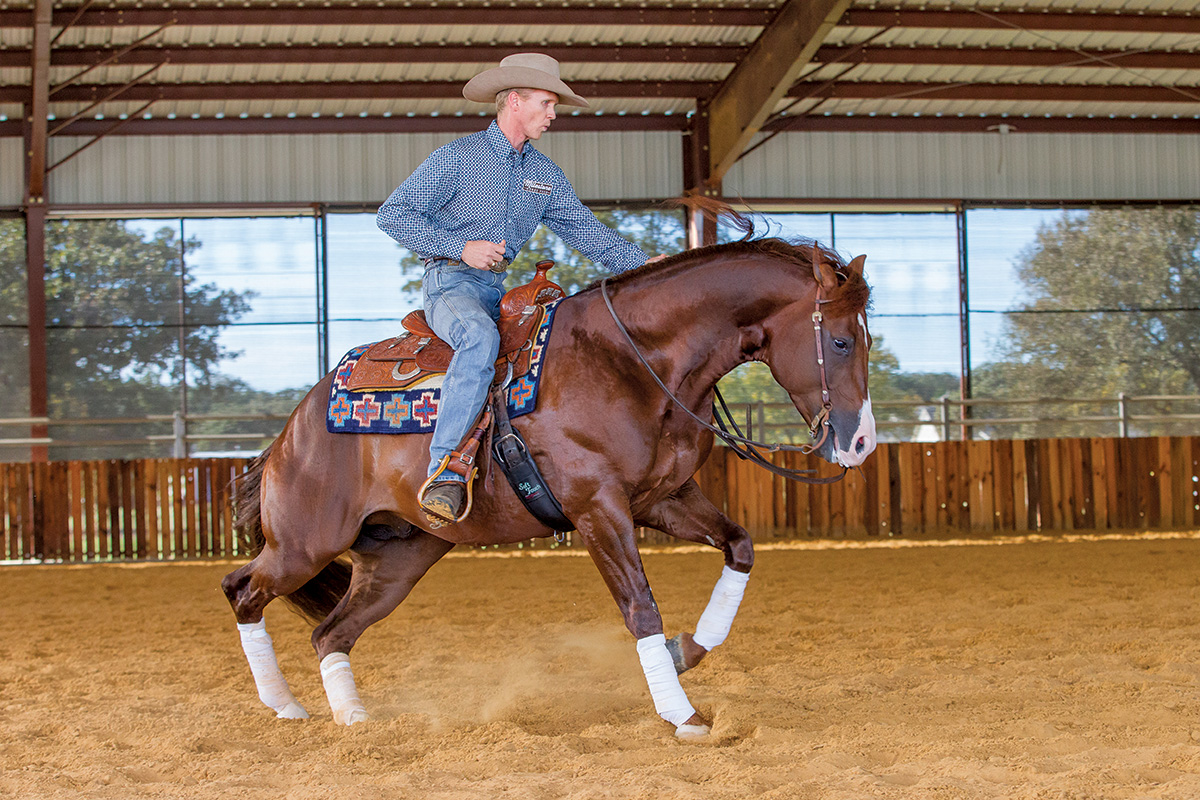 Master the Reining Rollback - Western Life Today