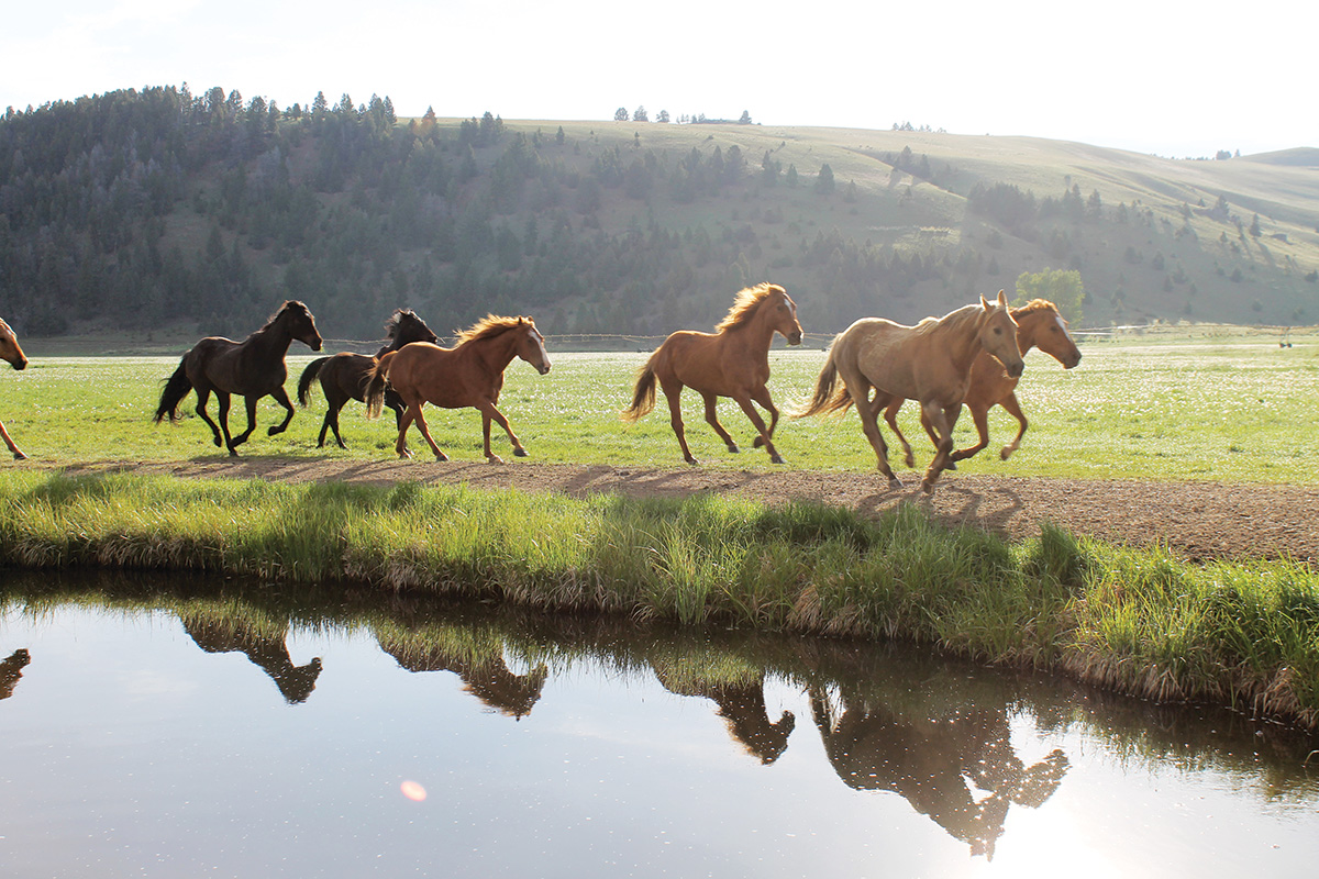 The Ranch at Rock Creek: Big Sky Heaven - Western Life Today