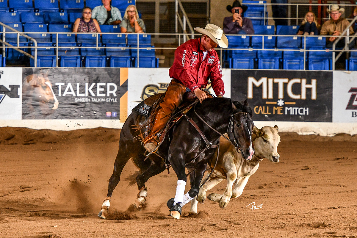 Reined Cow Horse Overview - Western Life Today