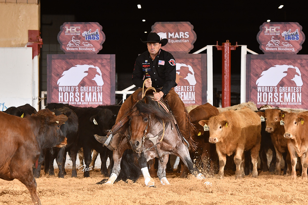 Reined Cow Horse Overview - Western Life Today