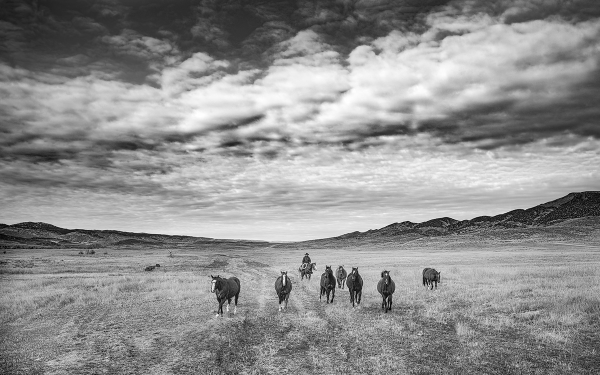 Q&A with Photographer Anouk Masson Krantz - Western Life Today