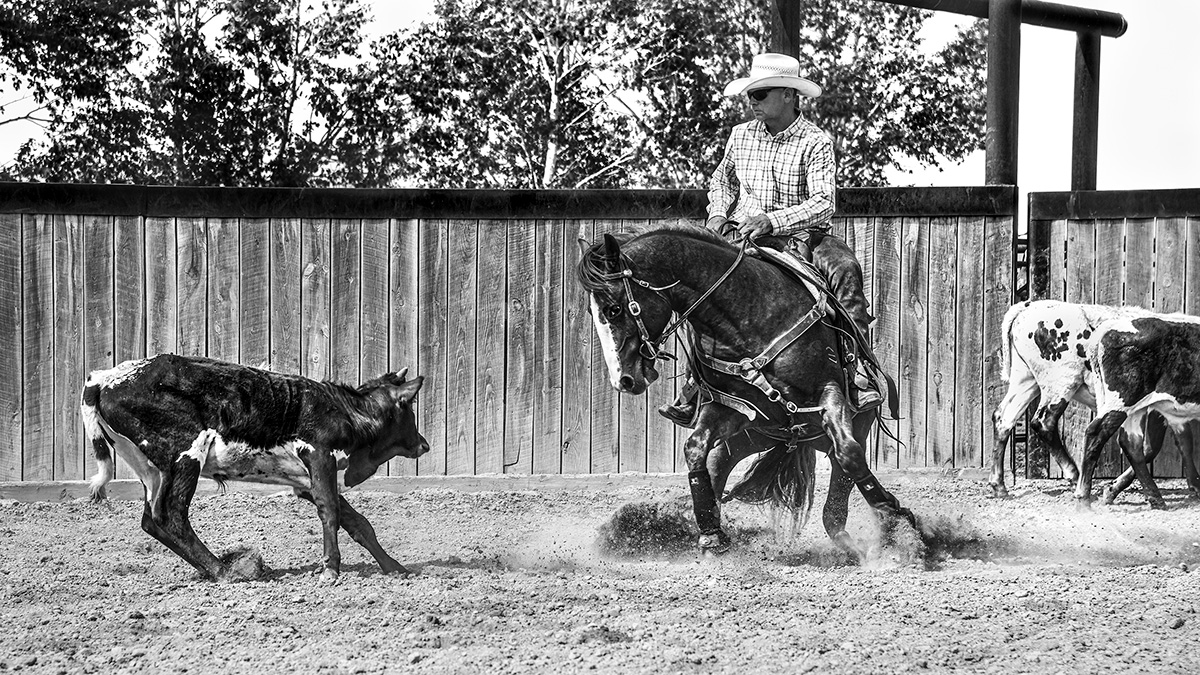 Q&A with Photographer Anouk Masson Krantz - Western Life Today