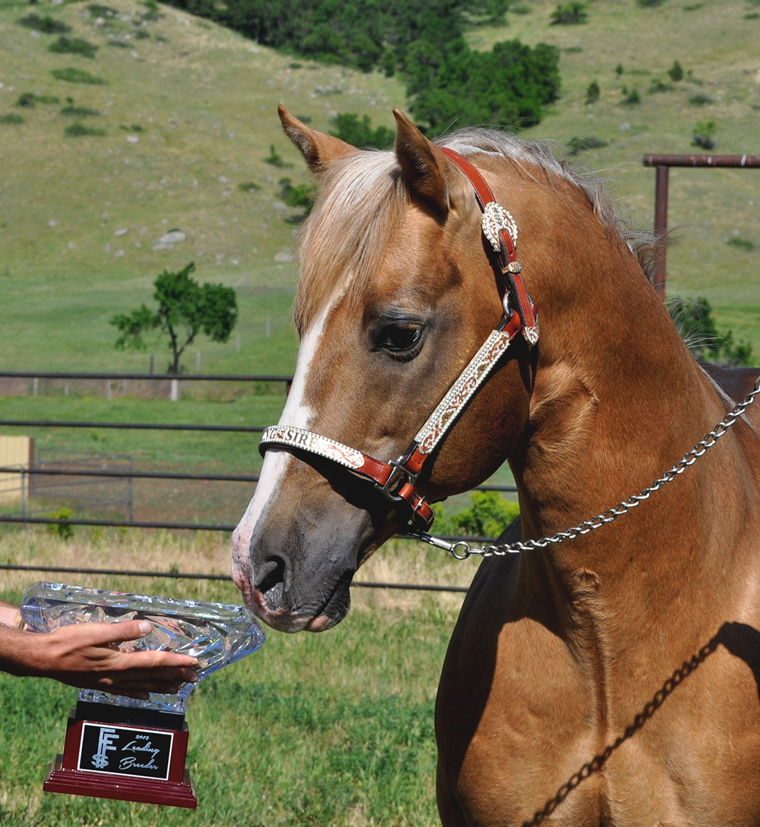 Frenchmans Guy: A Lasting Legacy - Western Life Today