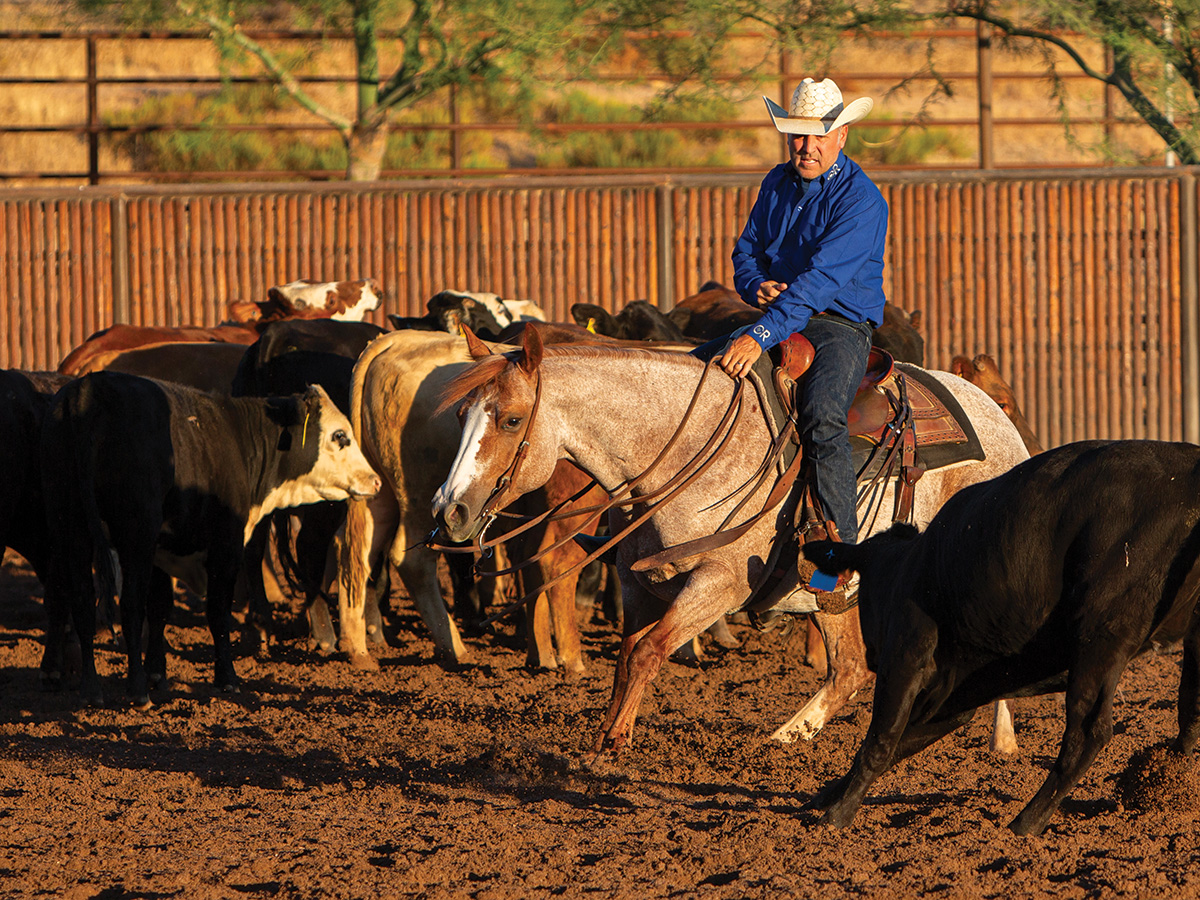 An Overview of Cutting - Western Life Today
