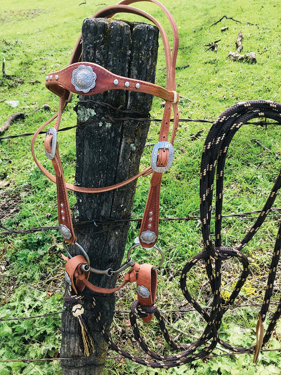 All About Mecate Reins - Western Life Today