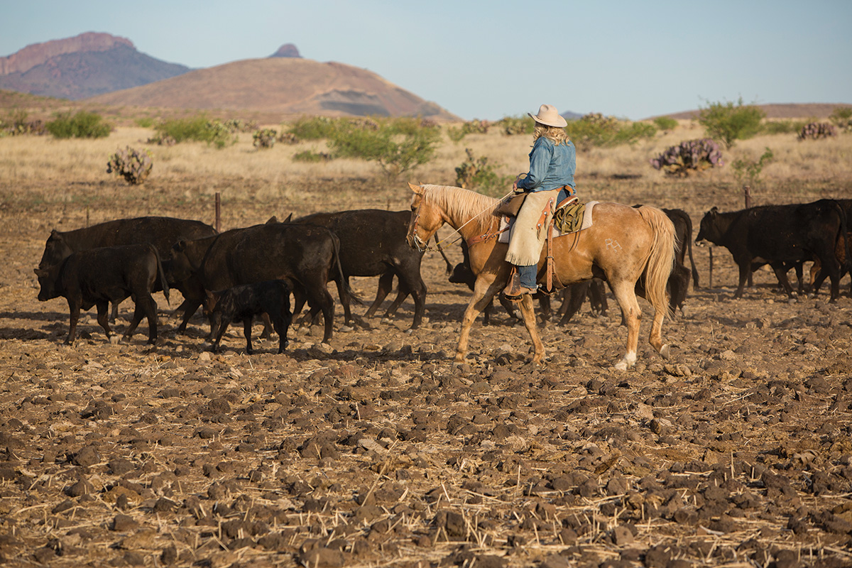 Mackenzie Kimbro: Roots Run Deep - Western Life Today