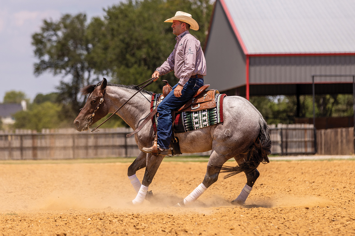 An Overview of Reining - Western Life Today