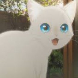 ¿Que tanto sabes de la pelicula Amor de gata? - Quiz Pregunta2