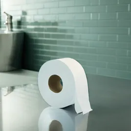 Victoria Bay Toilet Paper & Tissue Roll 3.1IN X1000FT 2PLY Virgin Paper ...