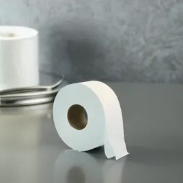 Victoria Bay Toilet Paper & Tissue Roll 3.1IN X1000FT 2PLY Virgin Paper ...