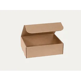 Regular Slotted Container (RSC) 22.81X12X10 IN Kraft C-Flute 32ECT ...