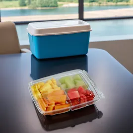 Fresh N' Sealed® Deli Container Hinged With Flat Lid 16 OZ 4 ...