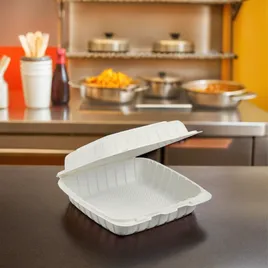 Victoria Bay Take-Out Container Hinged 9X9X3 IN MFPP White Square 60GM ...