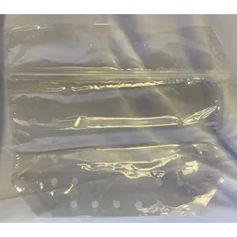 freshZIP® Bag 10.25X10.75X7.5 Plastic 2MIL With Zip Seal Closure Stand ...