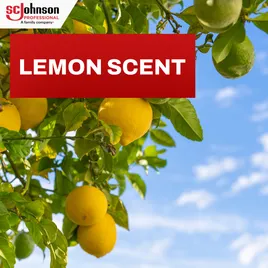 Pledge® Lemon Dust & Allergen Furniture Cleaner 14.2 FLOZ Multi Surface ...