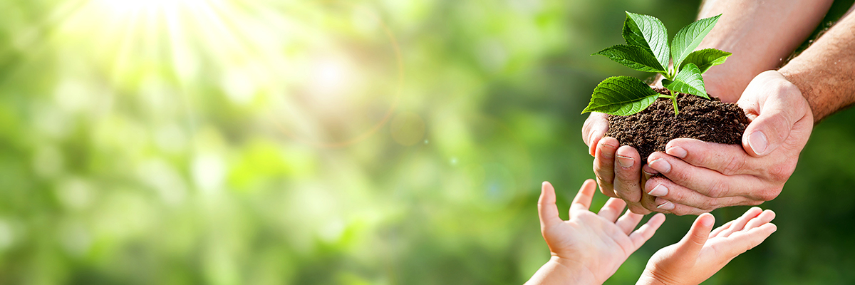 Greensafe Program | Imperial Dade