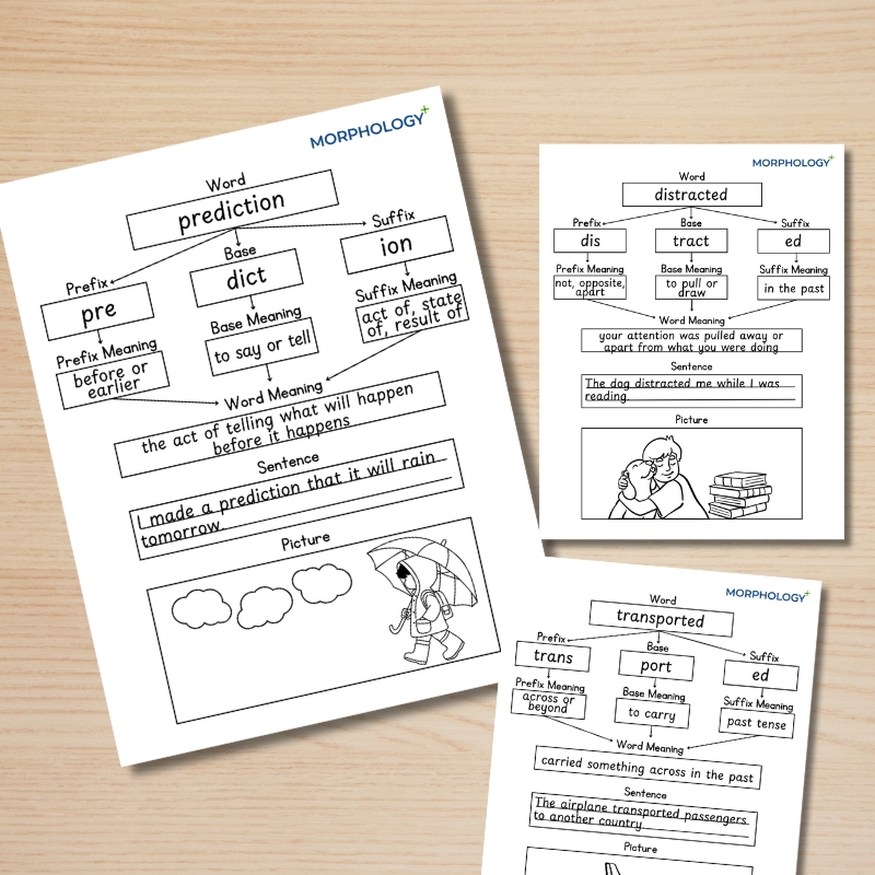 Programs | Morphology Plus