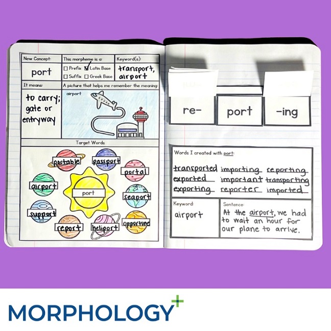 IMSE | Morphology+ Interactive Notebook Bundle