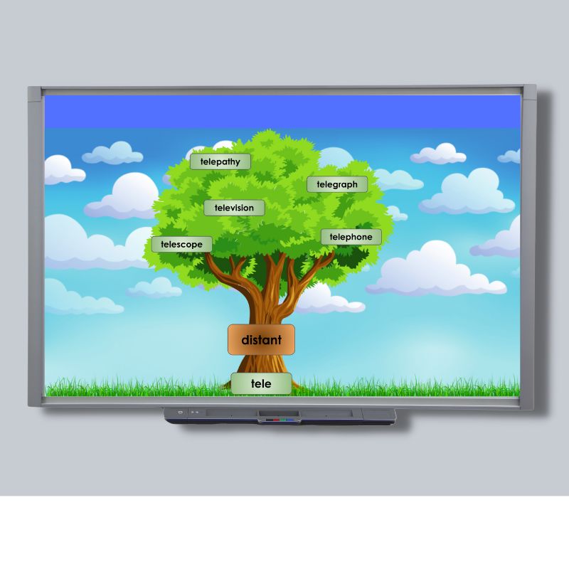 IMSE Customizable Morphology Slide Bundle - Latin & Greek Bases