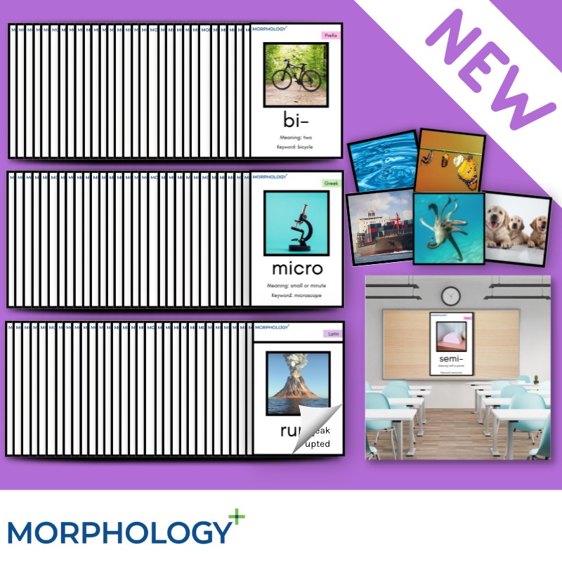 IMSE | Morphology+ Printable & Digital 4-in-1 Card Pack