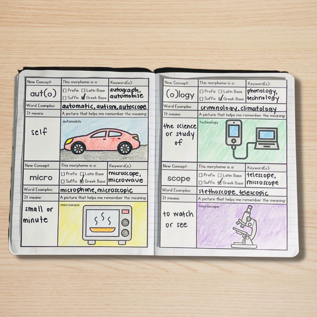 Morphology+ Interactive Notebook Bundle