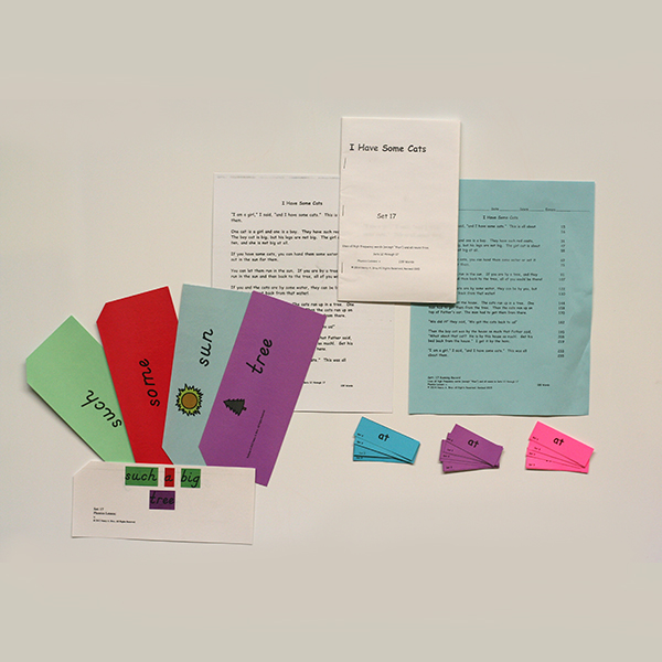 IMSE | SWIFT Reading Program: Section 2 & 3 Flashcards & Assessments ...