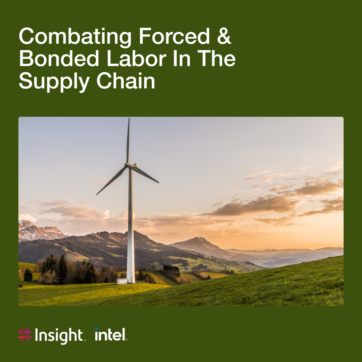 Renewable Energy | Insight & Intel