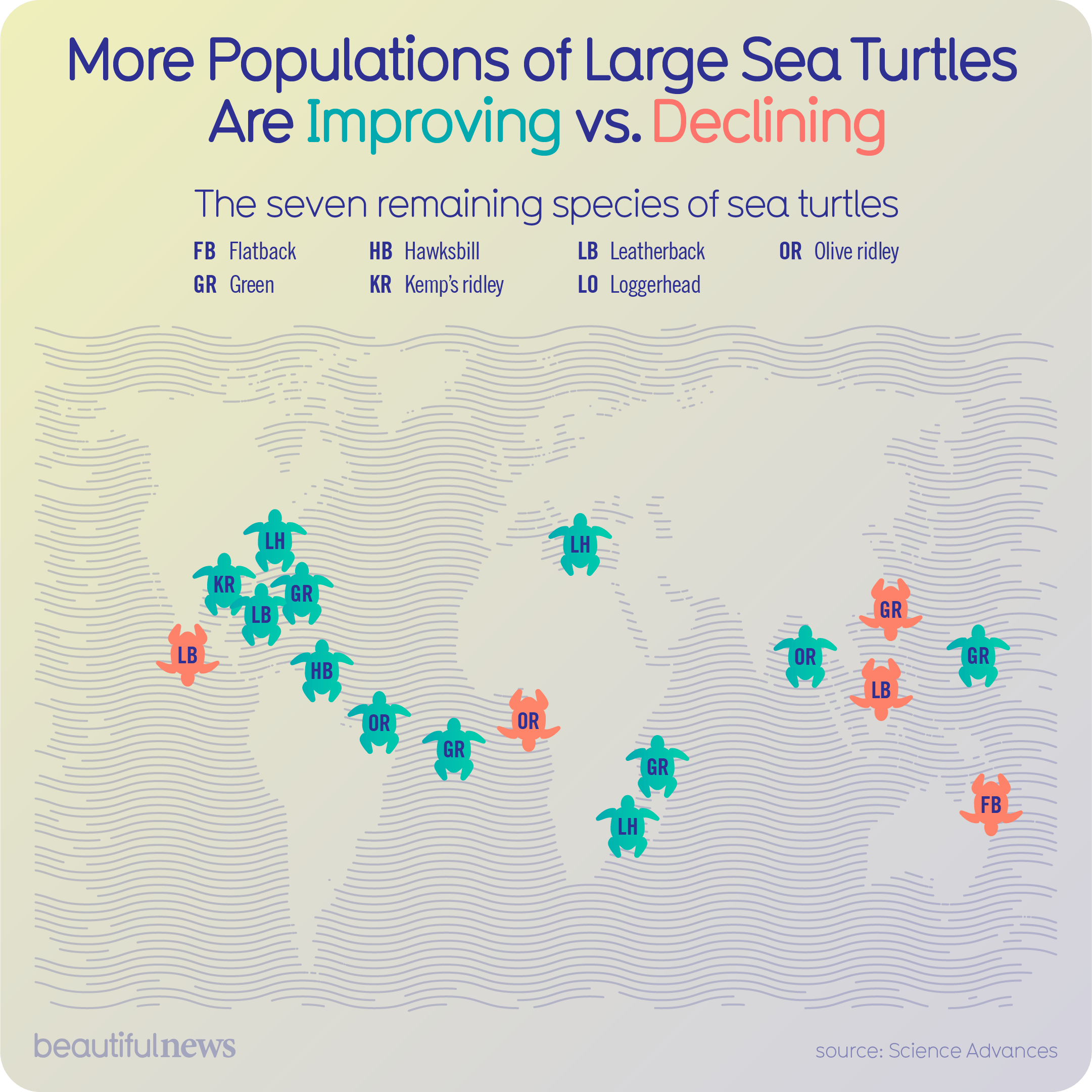More Populations of Large Sea Turtles are Improving vs. Declining ...