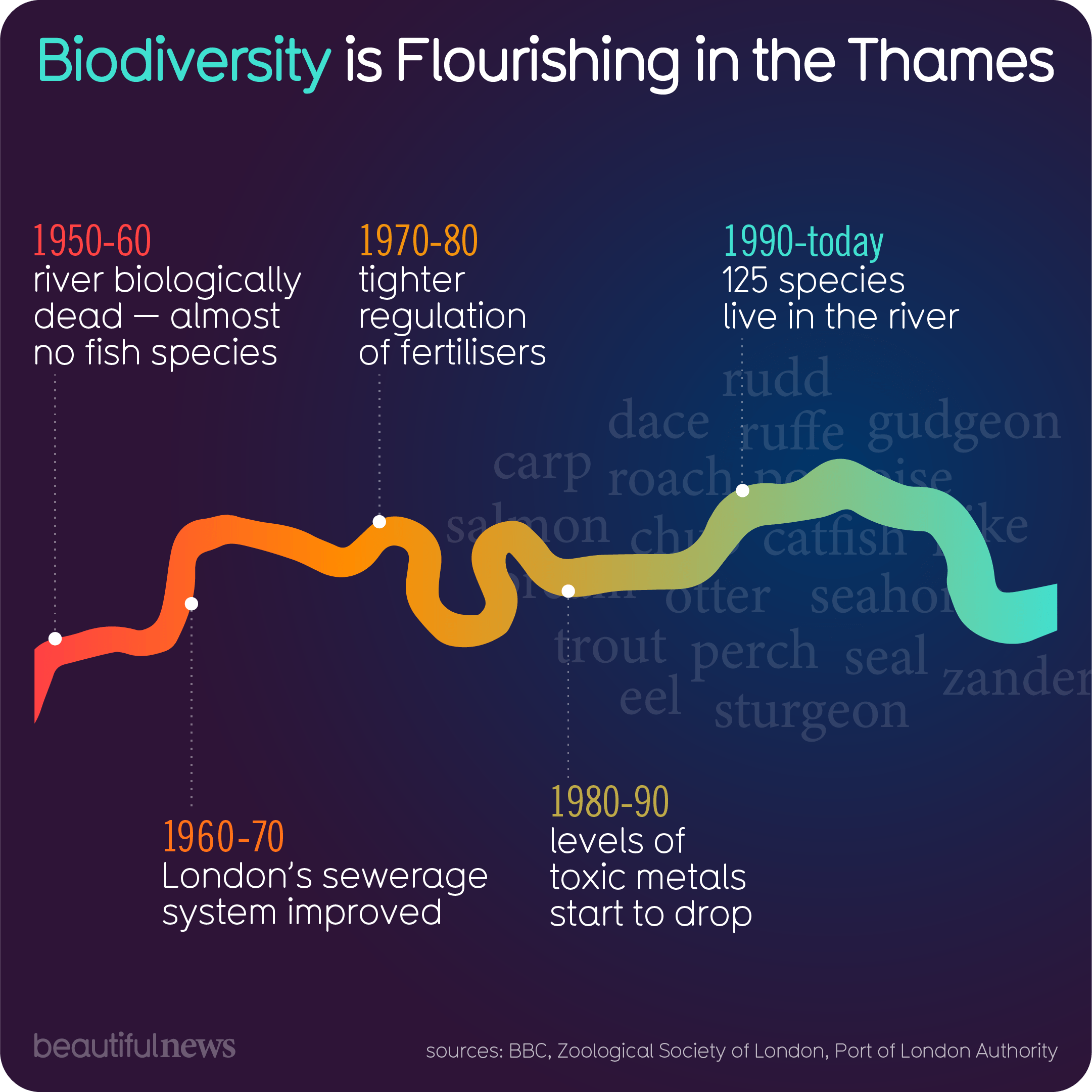 Biodiversity Is Flourishing in the River Thames — Beautiful News