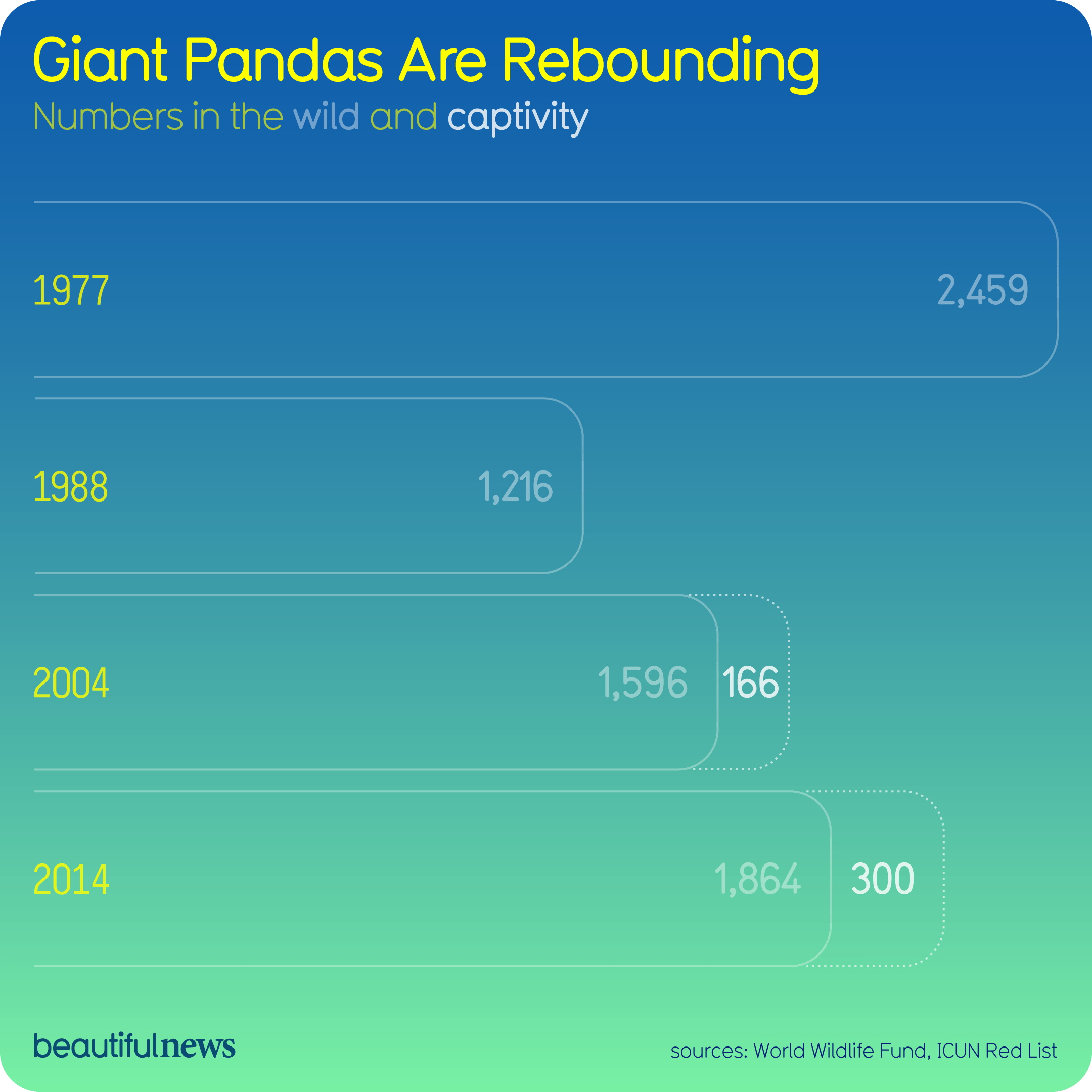 Giant Panda Numbers Are Rebounding — Beautiful News