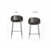 Zach-B Bar Stool (Set of 2)