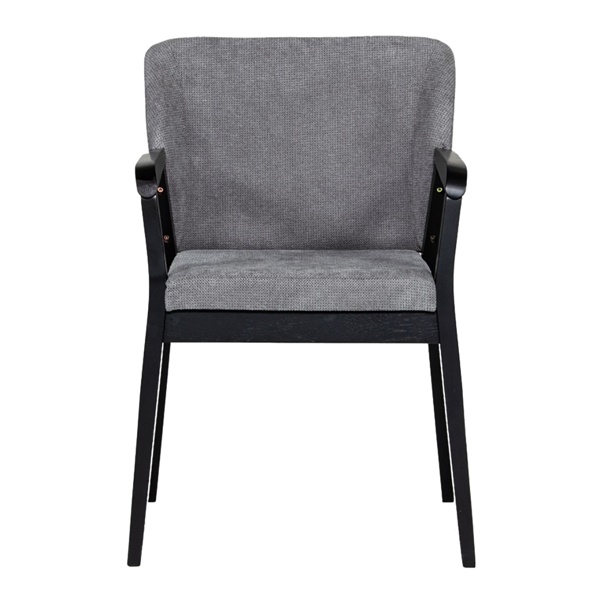 Erin Dining Chair (Set of 2)