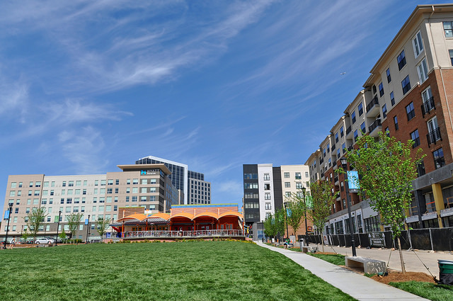 This Awesome Raleigh Neighborhood Guide Gives You The Low Down On ...