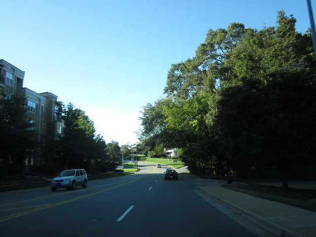 This Awesome Raleigh Neighborhood Guide Gives You The Low Down On ...