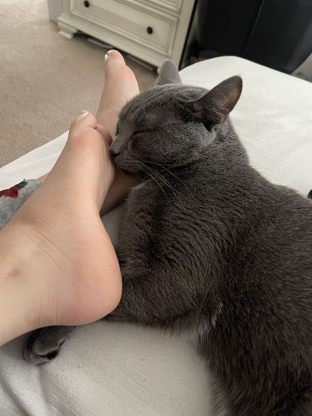 sweetiestoes | Free Live HD Feet Sessions