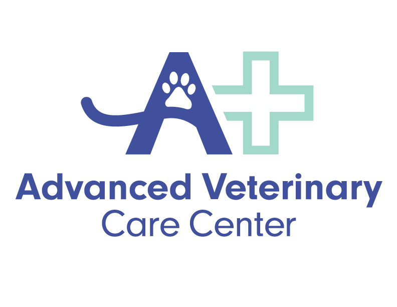 Instinct Shareville | Advanced Veterinary Care Center