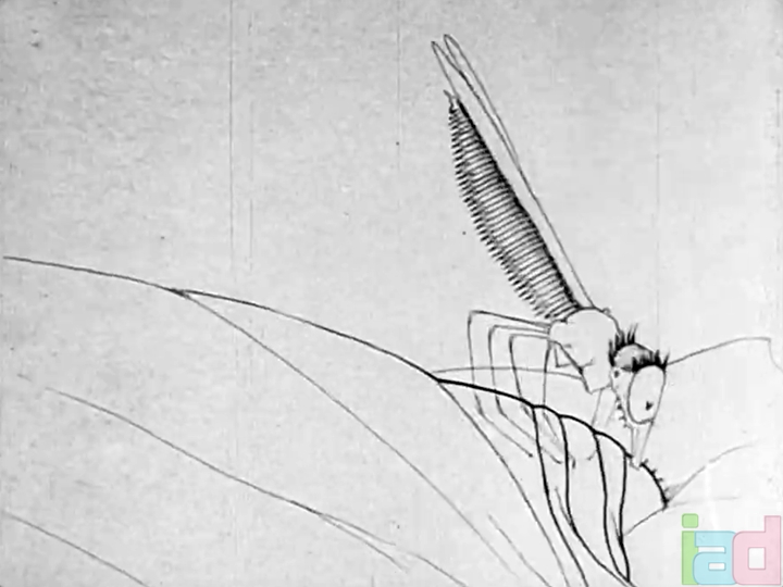 How a Mosquito Operates (1912) - The Internet Animation Database