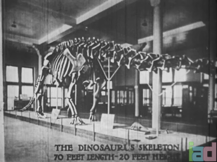 Gertie the Dinosaur (1914) - The Internet Animation Database