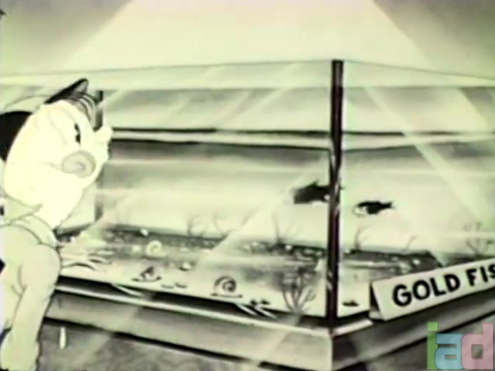 Fish Follies (1940) - The Internet Animation Database