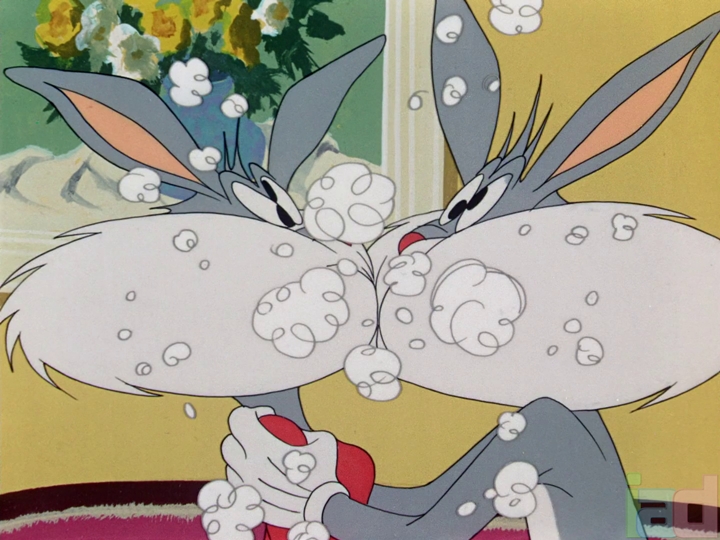 Hare Splitter (1948) - The Internet Animation Database