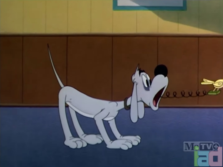 Coo-Coo Bird Dog (1949) - The Internet Animation Database