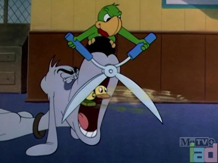 Coo-Coo Bird Dog (1949) - The Internet Animation Database