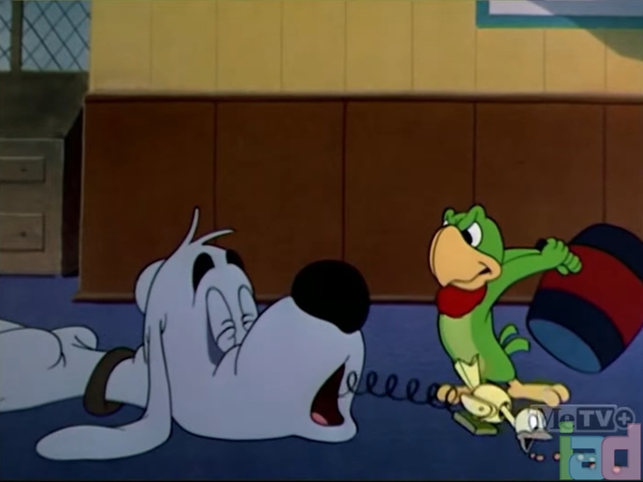Coo-Coo Bird Dog (1949) - The Internet Animation Database
